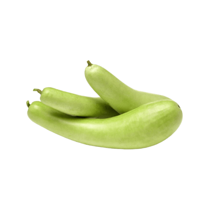 Lauki Long (Bottle Gourd) 500g+ – Indira Foods